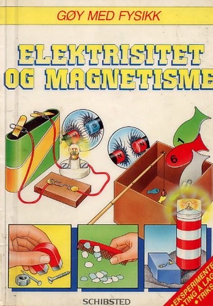 Elektrisitet og magnetisme (Gøy med fysikk) by Terry Cash | Goodreads