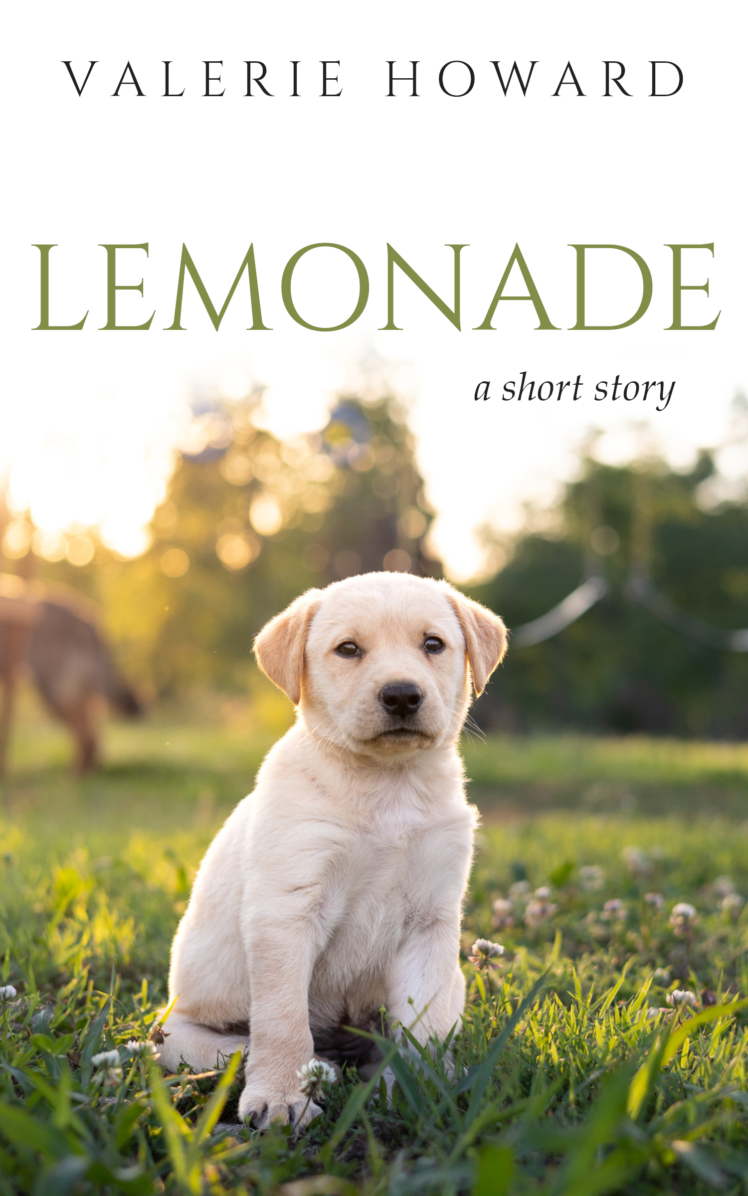 Lemonade by Valerie Howard | Goodreads