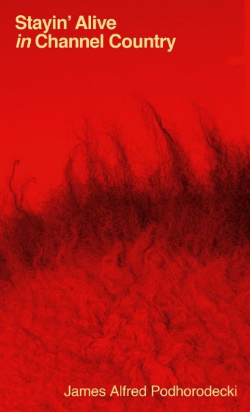 Stayin' Alive in Channel Country by James Alfred Podhorodecki | Goodreads