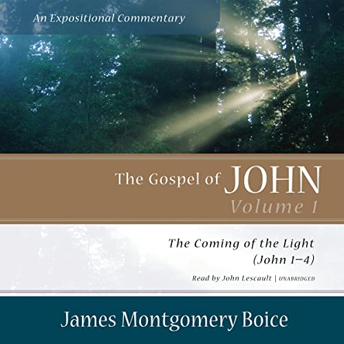 The Gospel of John: The Coming of the Light John 1-4 by James ...