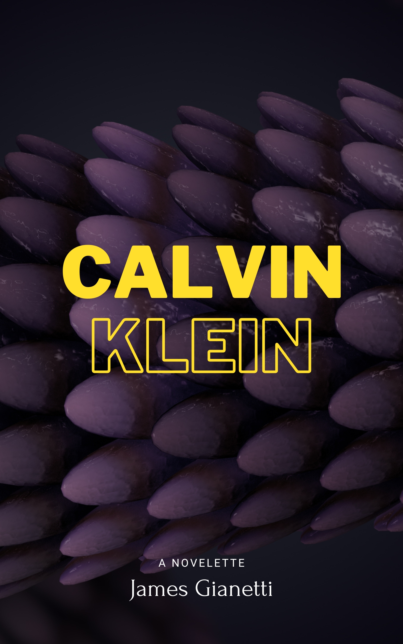 Calvin Klein by James Gianetti | Goodreads