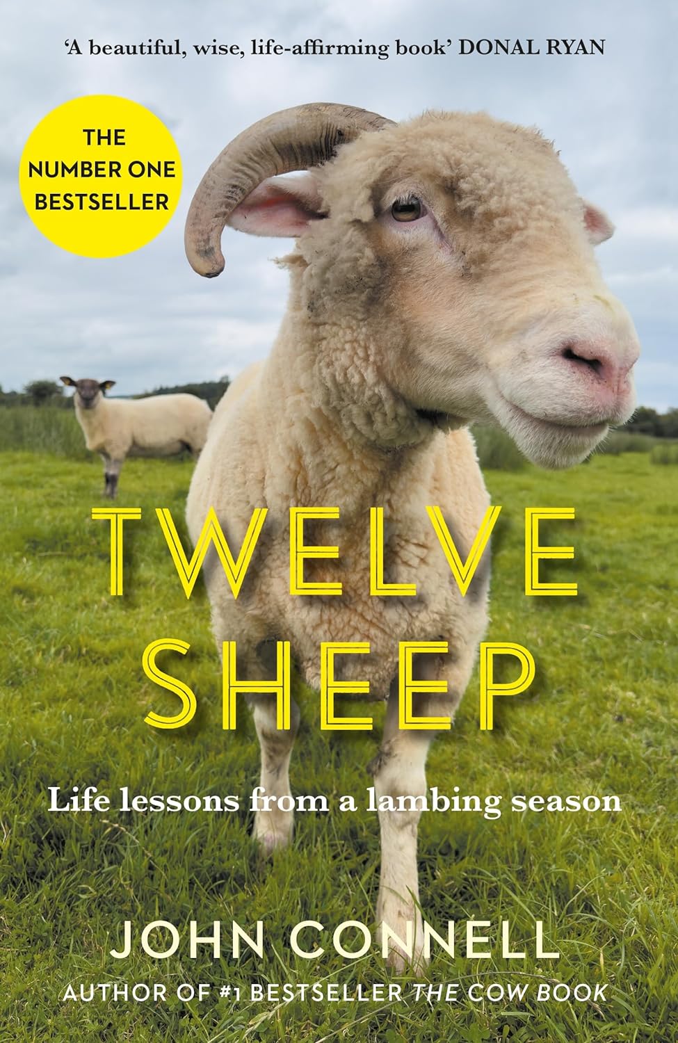 The Lambing Season: Stories of Life on an Irish Family Farm by John ...