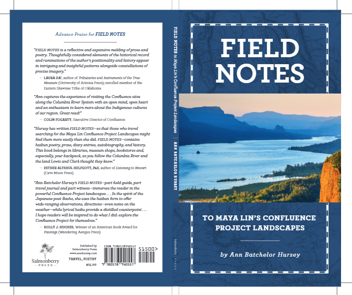 Field Notes To Maya Lin's Confluence Project Landscapes by Ann ...