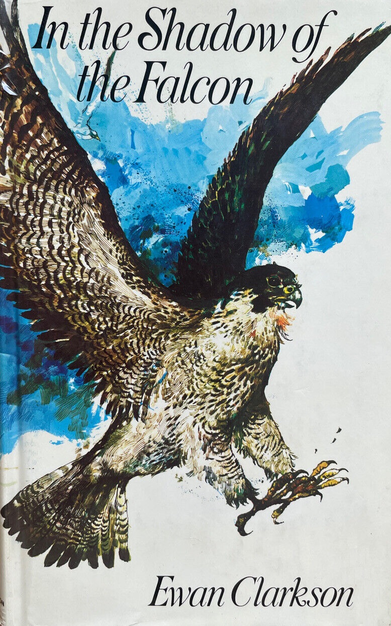In the Shadow of the Falcon by Ewan Clarkson | Goodreads
