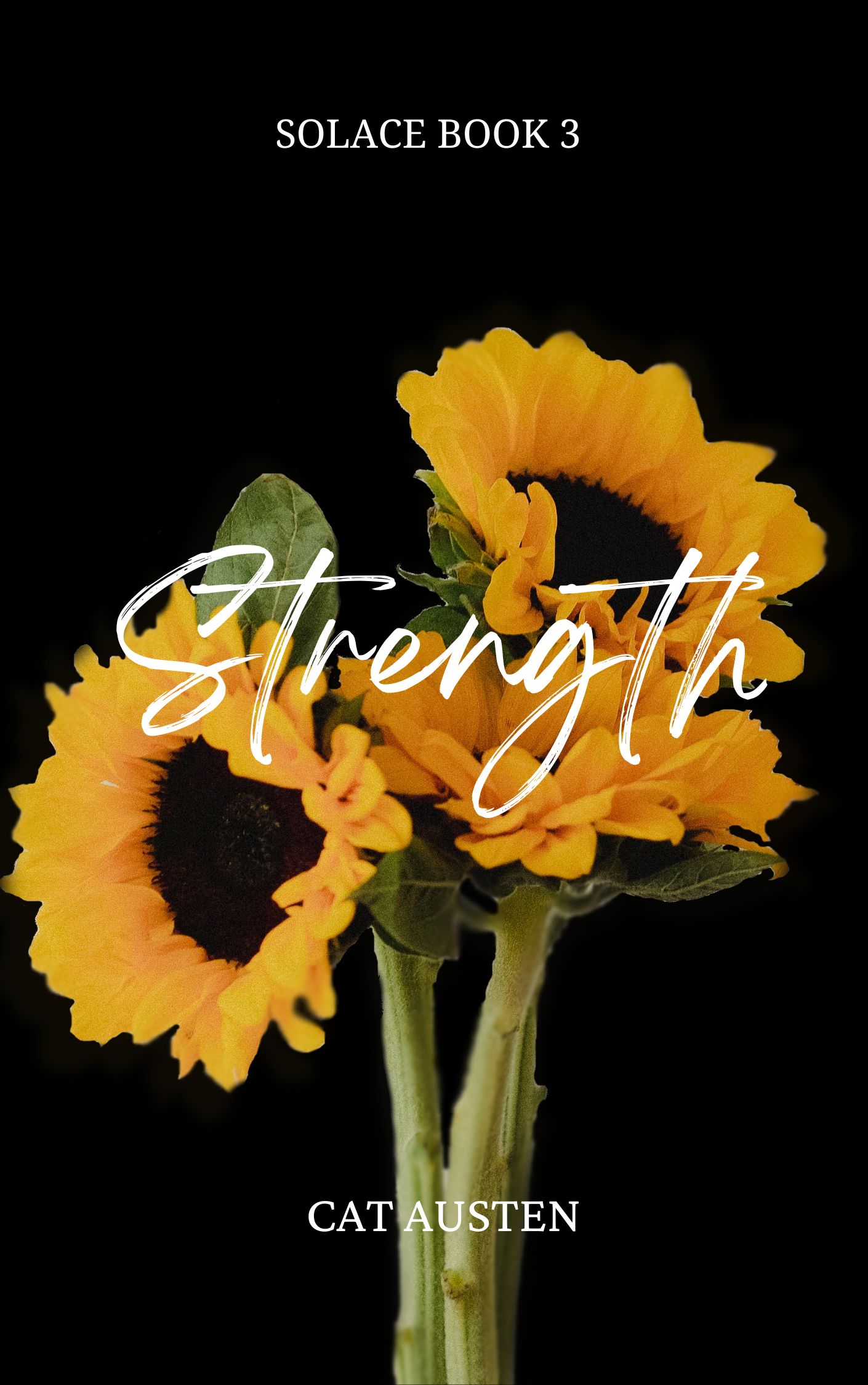Strength: Solace Book 3 by Cat Austen | Goodreads