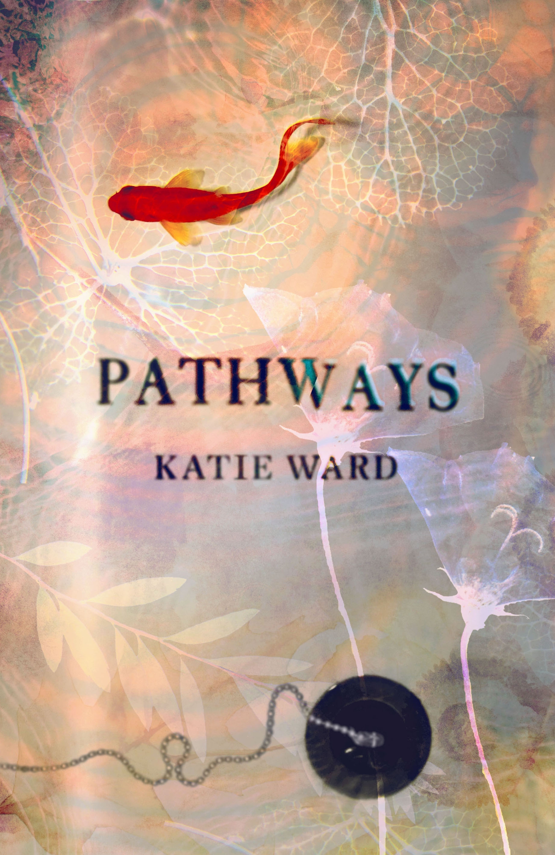 Pathways by Katie Ward | Goodreads