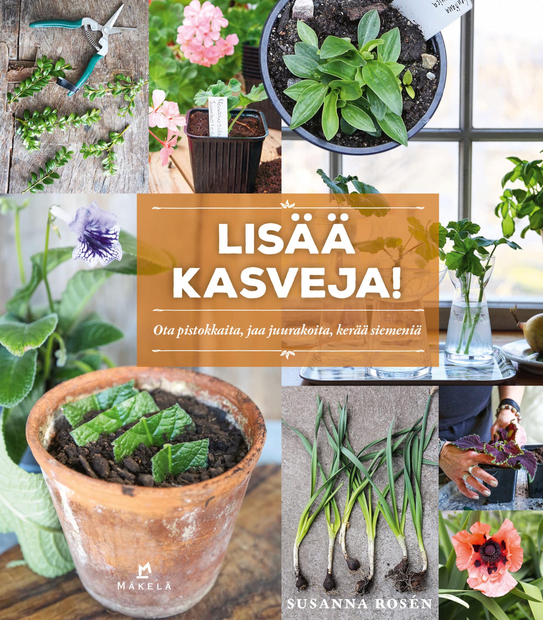 Lisää kasveja! : ota pistokkaita, jaa juurakoita, kerää siemeniä by ...