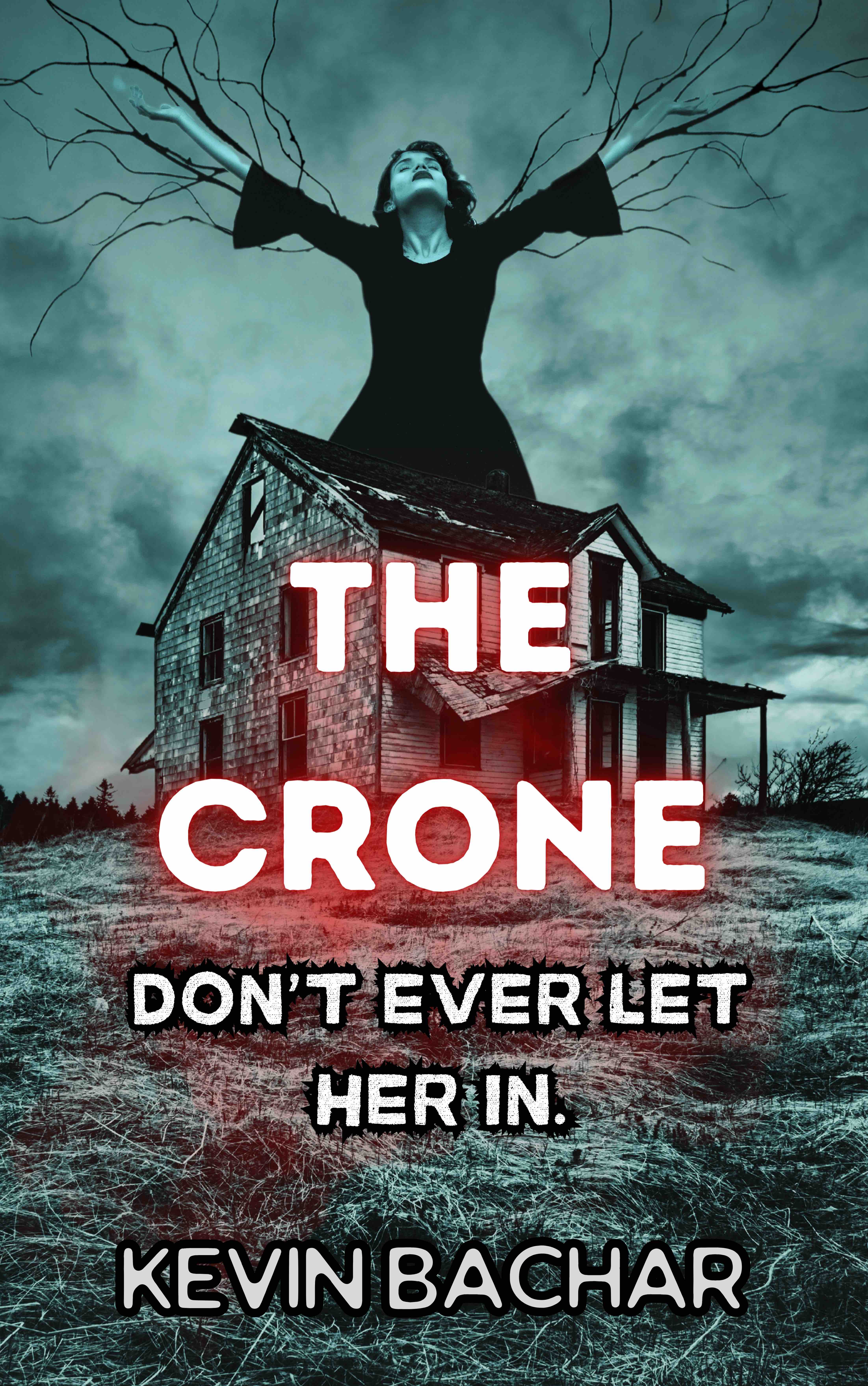 THE CRONE: Don't Ever Let Her In by Kevin Bachar | Goodreads