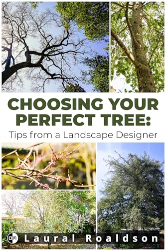 Choosing Your Perfect Tree: Tips from a Landscape Designer by Laural ...