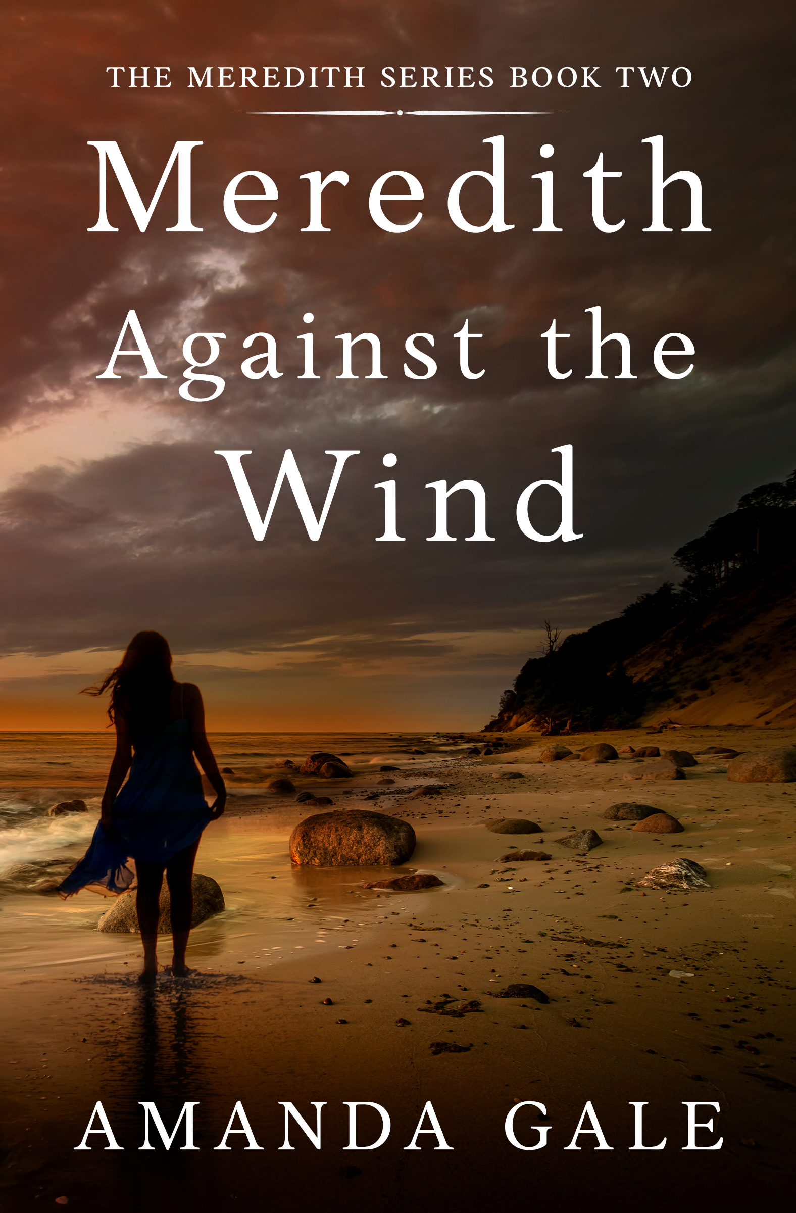 Meredith Against the Wind (Meredith, #2) by Amanda Gale | Goodreads