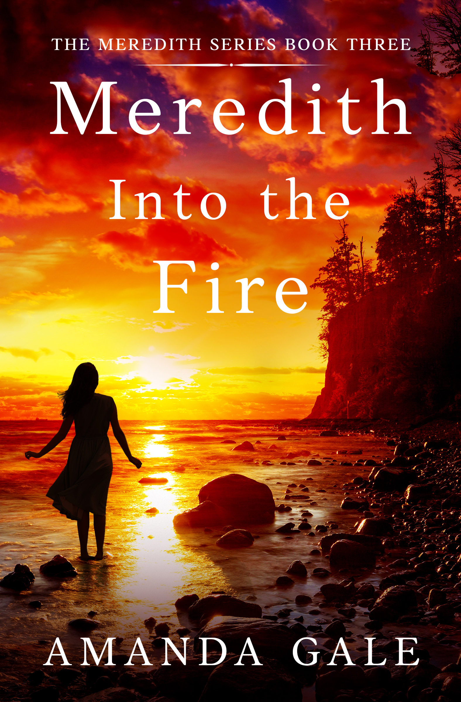 Meredith Into the Fire (Meredith, #3) by Amanda Gale | Goodreads