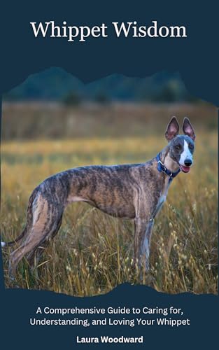 Whippet Wisdom: A Comprehensive Guide to Caring for, Understanding and ...