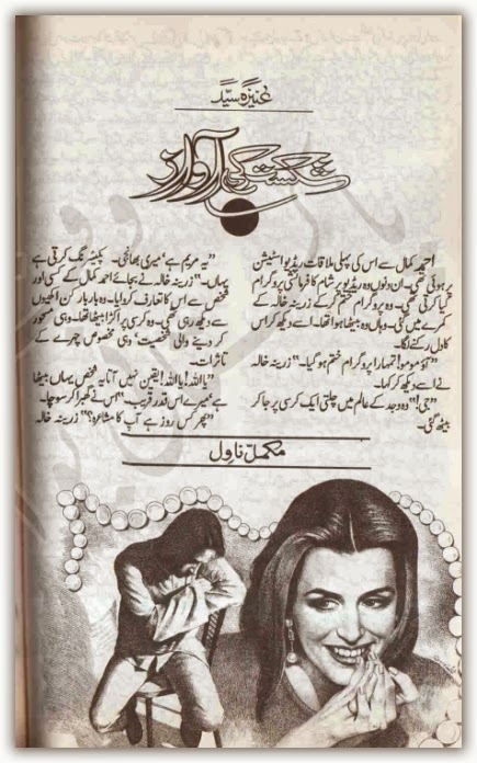 Shikast Ki Awaz by Aneeza Syed | Goodreads