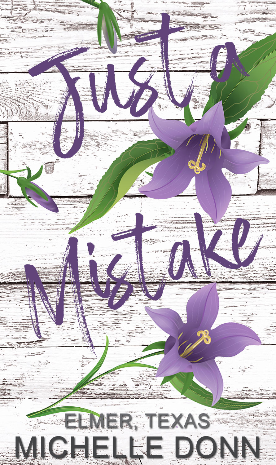 Just a Mistake (Elmer, Texas #2.5) by Michelle Donn | Goodreads