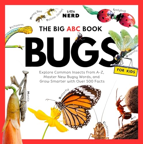 Bugs For Kids – The Big ABC Book: Explore Common Insects from A-Z ...