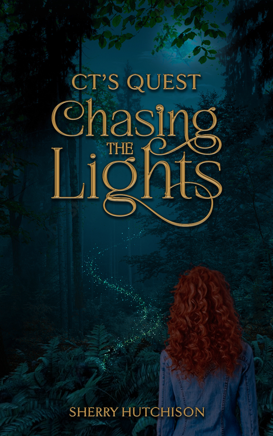 CT's Quest: Chasing The Lights by Sherry Hutchison | Goodreads
