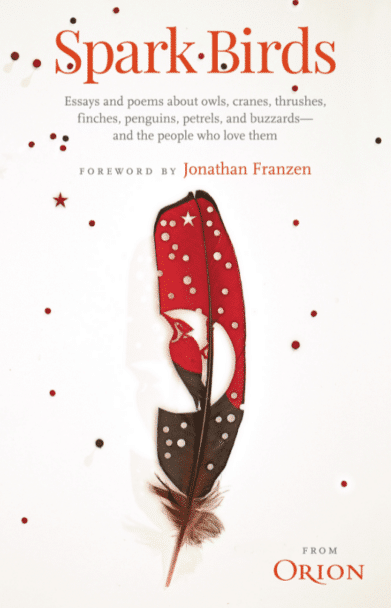 Spark Birds by Orion | Goodreads
