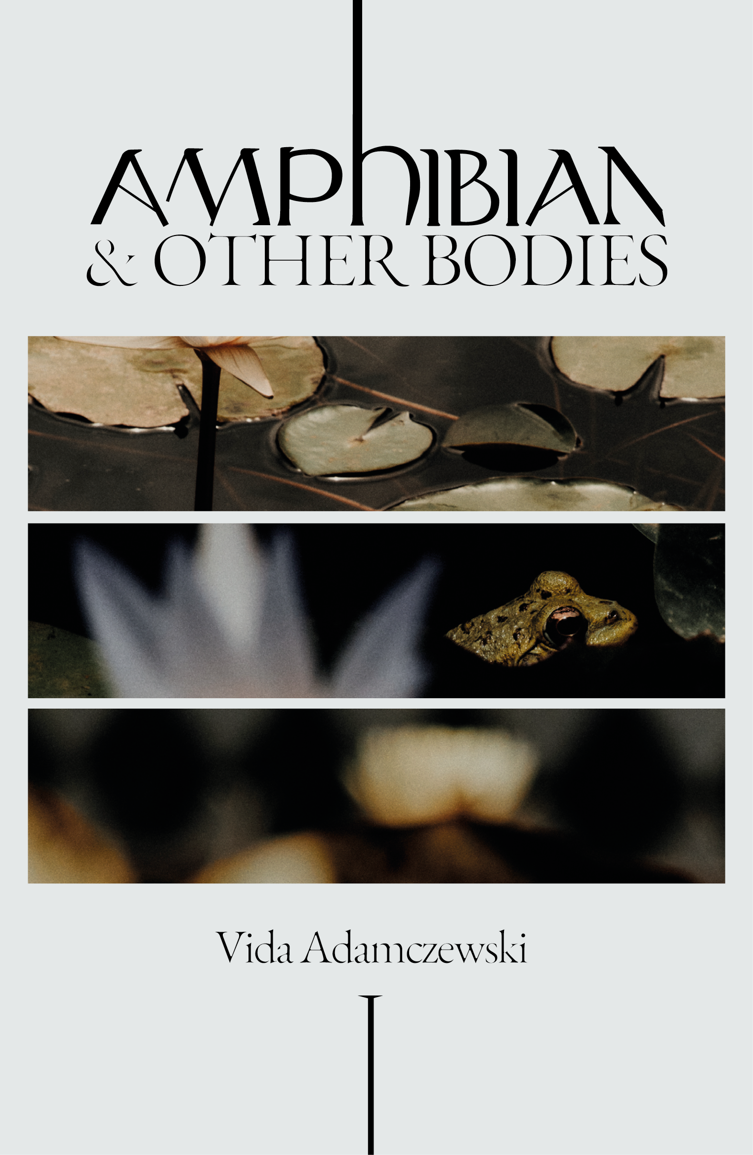 Amphibian and Other Bodies by Vida Adamczewski | Goodreads