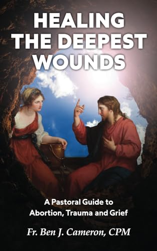 Healing the Deepest Wounds: A Pastoral Guide to Abortion, Trauma and Grief by Fr. Ben J. Cameron ...