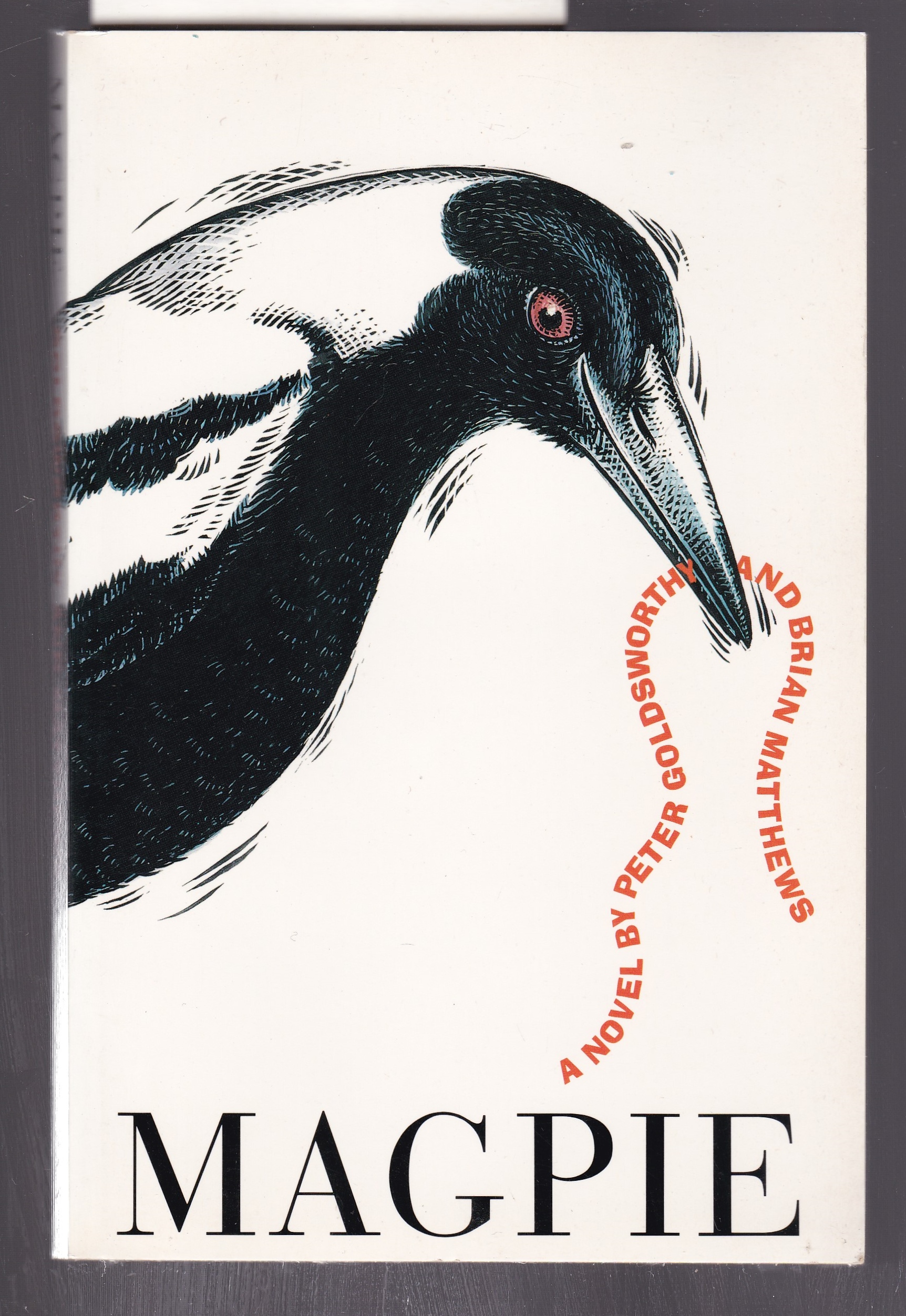 Magpie by Peter Goldsworthy | Goodreads