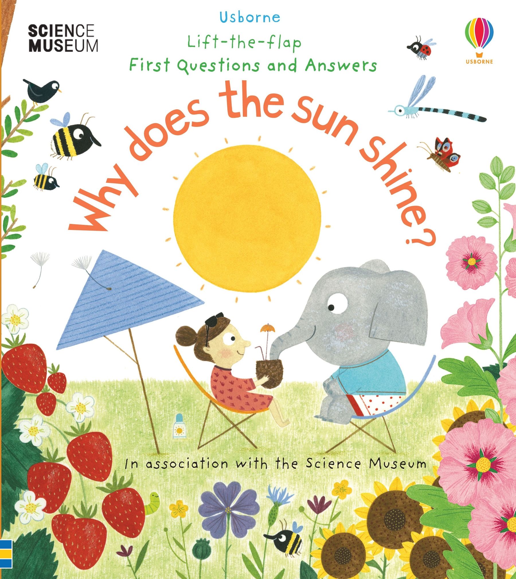 First Questions and Answers: Why does the sun shine? by Katie Daynes ...