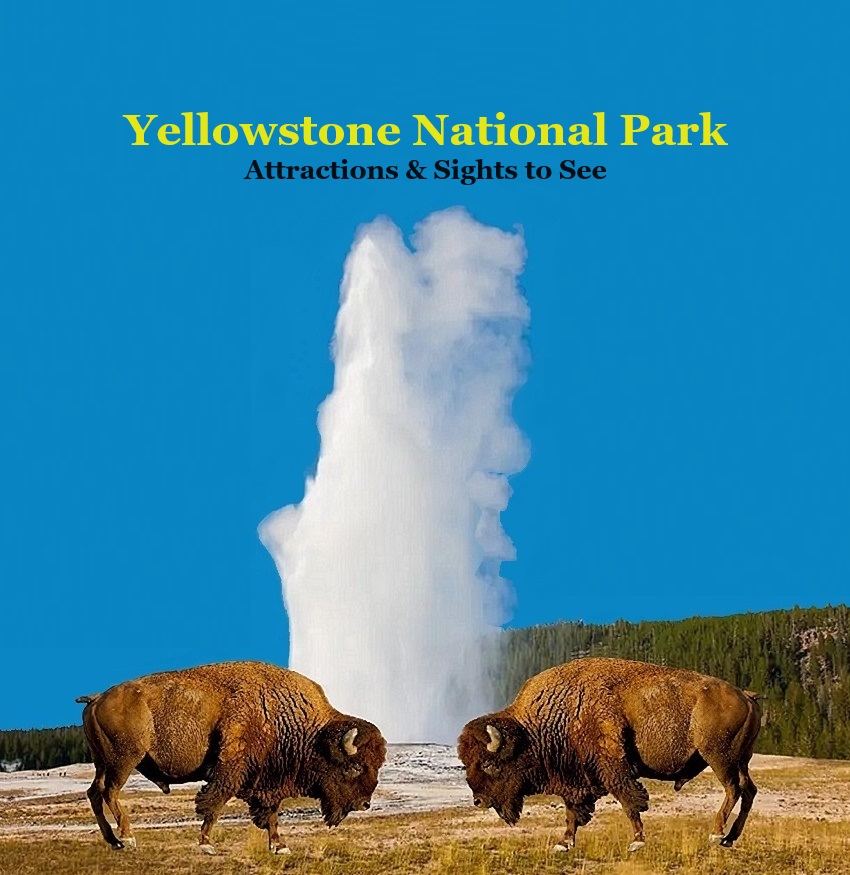 Yellowstone Park Attractions and Sights to See Kids Book: Great Book ...