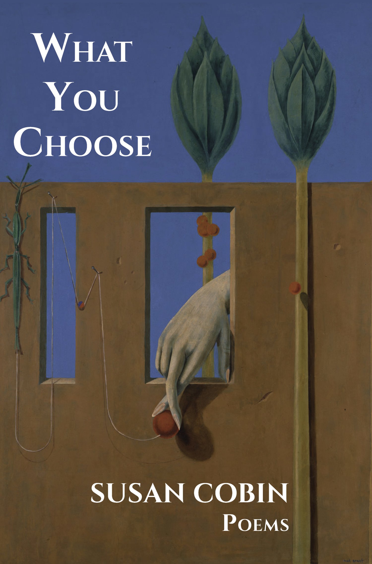 What You Choose by Susan Cobin | Goodreads