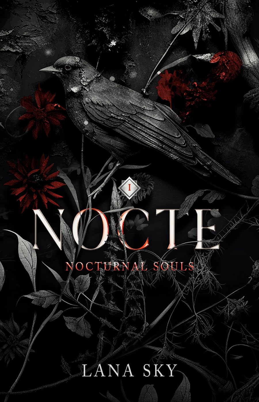 Nocte (Nocturnal Souls #1) by Lana Sky | Goodreads