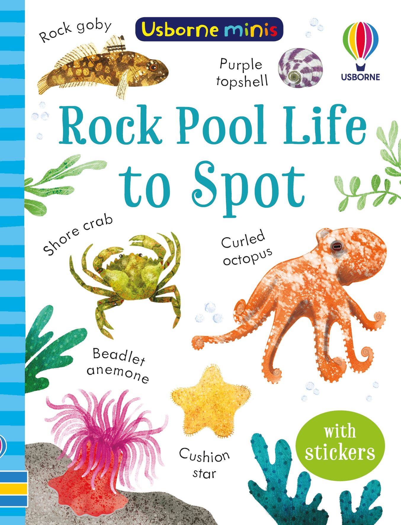 Rock Pool Life to Spot (Usborne Minis) by Simon Tudhope | Goodreads