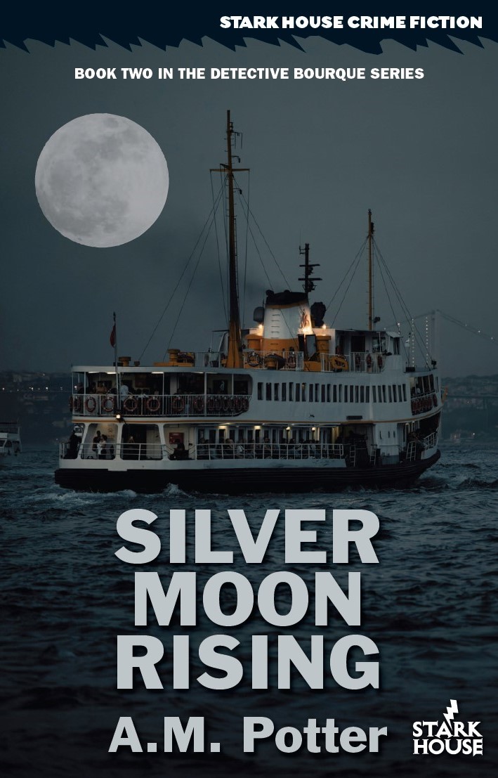 Silver Moon Rising (Detective Ivy Bourque, #2) by A.M. Potter | Goodreads