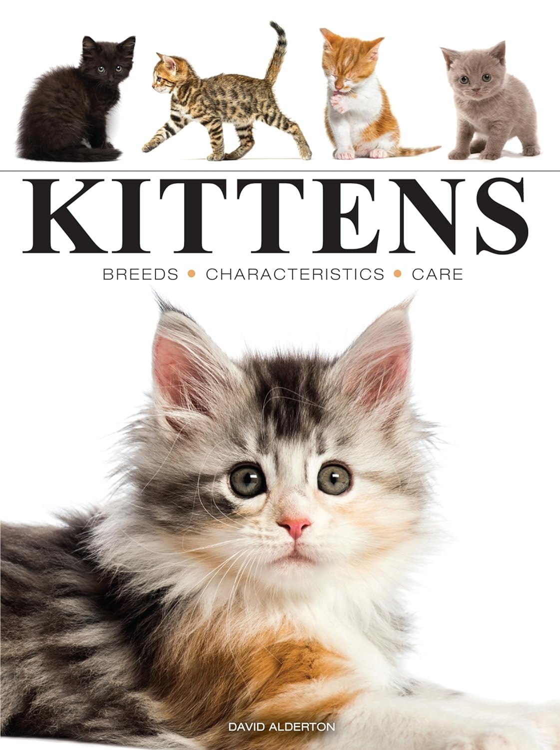 Kittens by David Alderton | Goodreads