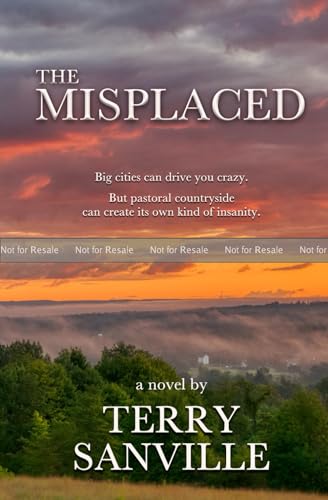 The Misplaced by Terry Sanville | Goodreads