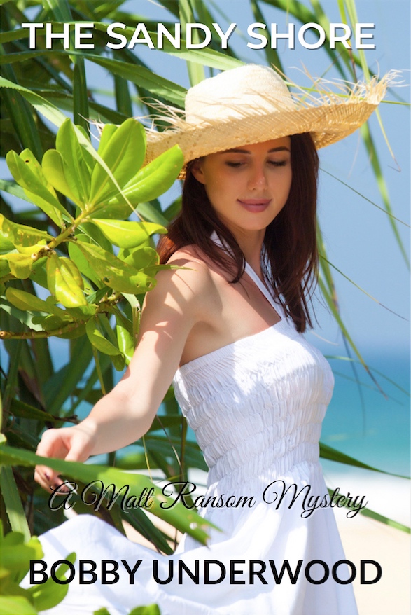 The Sandy Shore (Matt Ransom #5) by Bobby Underwood | Goodreads