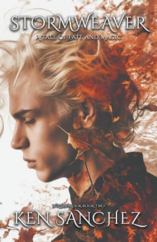 Stormweaver (Willowbrook Book Two) (The Willowbrook) by Ken Sanchez ...