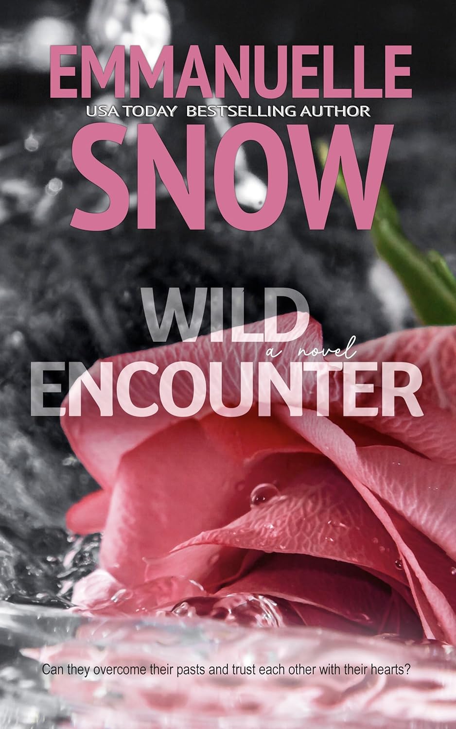 Wild Encounter (Whiskey Melody, #4) by Emmanuelle Snow | Goodreads