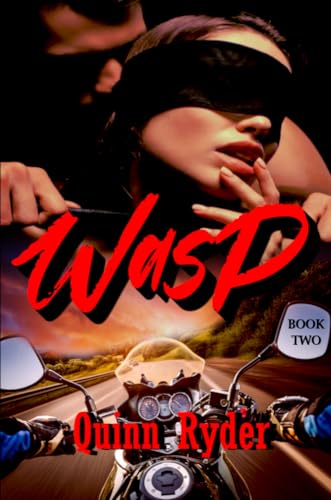 Wasp: Lewd Outlaws MC: Book Two by Quinn Ryder | Goodreads