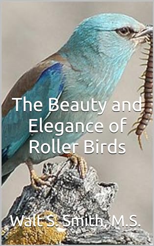 The Beauty and Elegance of Order Coraciiformes : & Introducing the ...