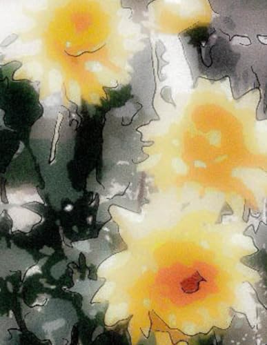 Recovery Photographs for AOD Group Therapy by Jean Marie Manthei ...