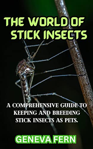 The World of Stick Insects: A comprehensive guide to keeping and ...