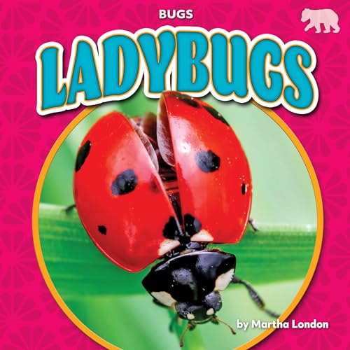 Ladybugs - Nonfiction Reading for Grade 1 with Vibrant Illustrations ...