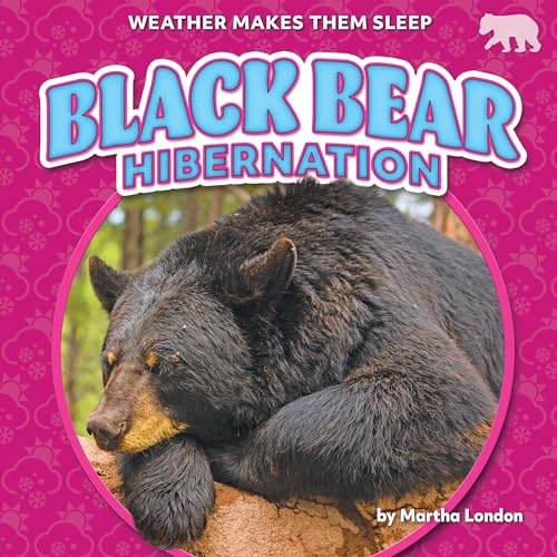 Black Bear Hibernation - Nonfiction Reading for Grade 1 with Vibrant ...