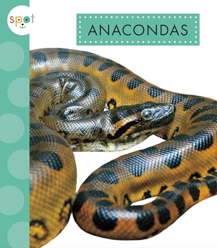 Anacondas (Spot Rainforest Animals) by Alissa Thielges | Goodreads