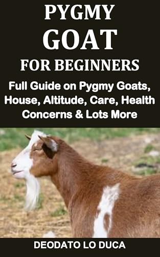 Pygmy Goat for Beginners: Full Guide on Pygmy Goats, House, Altitude ...