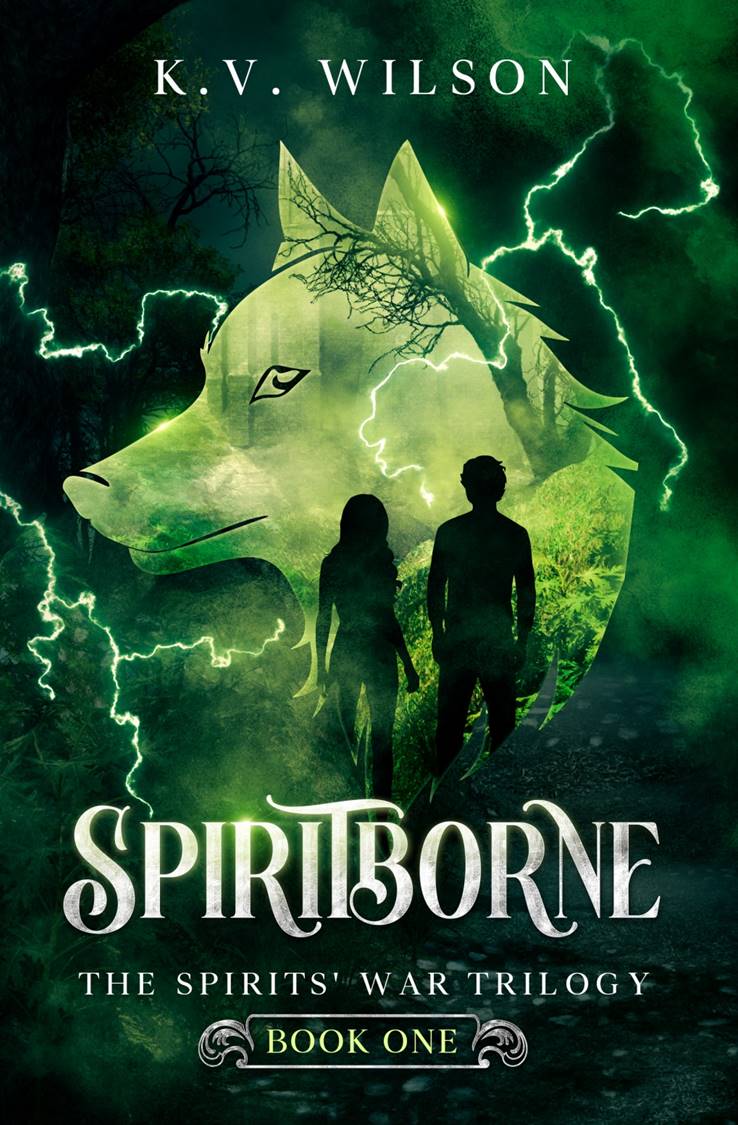 Spiritborne (The Spirits' War Trilogy, #1) by K.V. Wilson | Goodreads