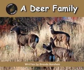 A Deer Family by Brenda Boreham | Goodreads