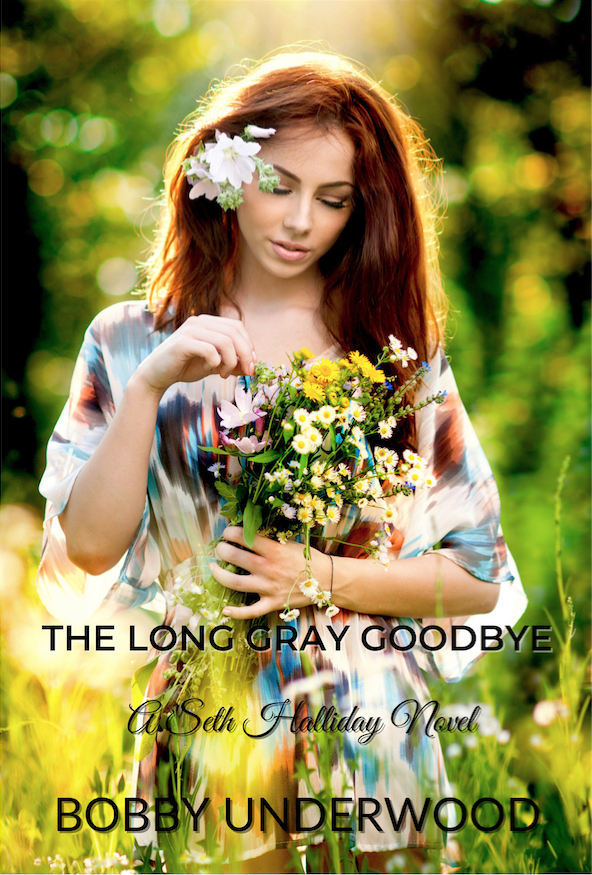 The Long Gray Goodbye (Seth Halliday #2) by Bobby Underwood | Goodreads