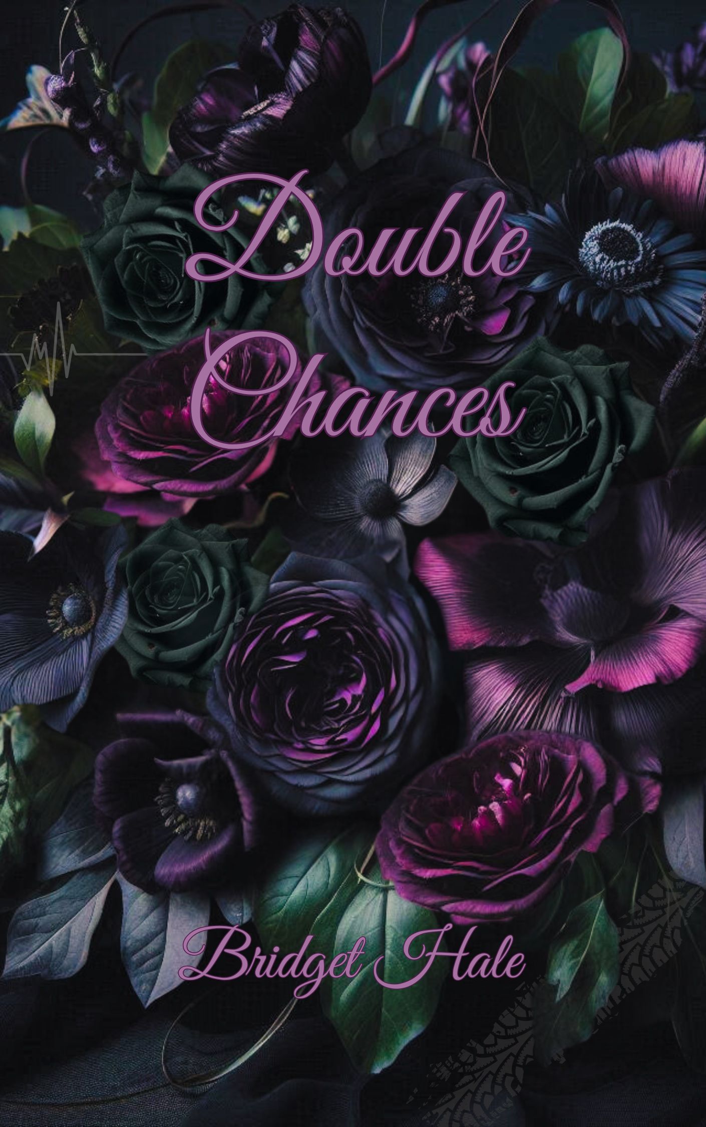 Double Chances (DoubleVerse, #4) by Bridget Hale | Goodreads