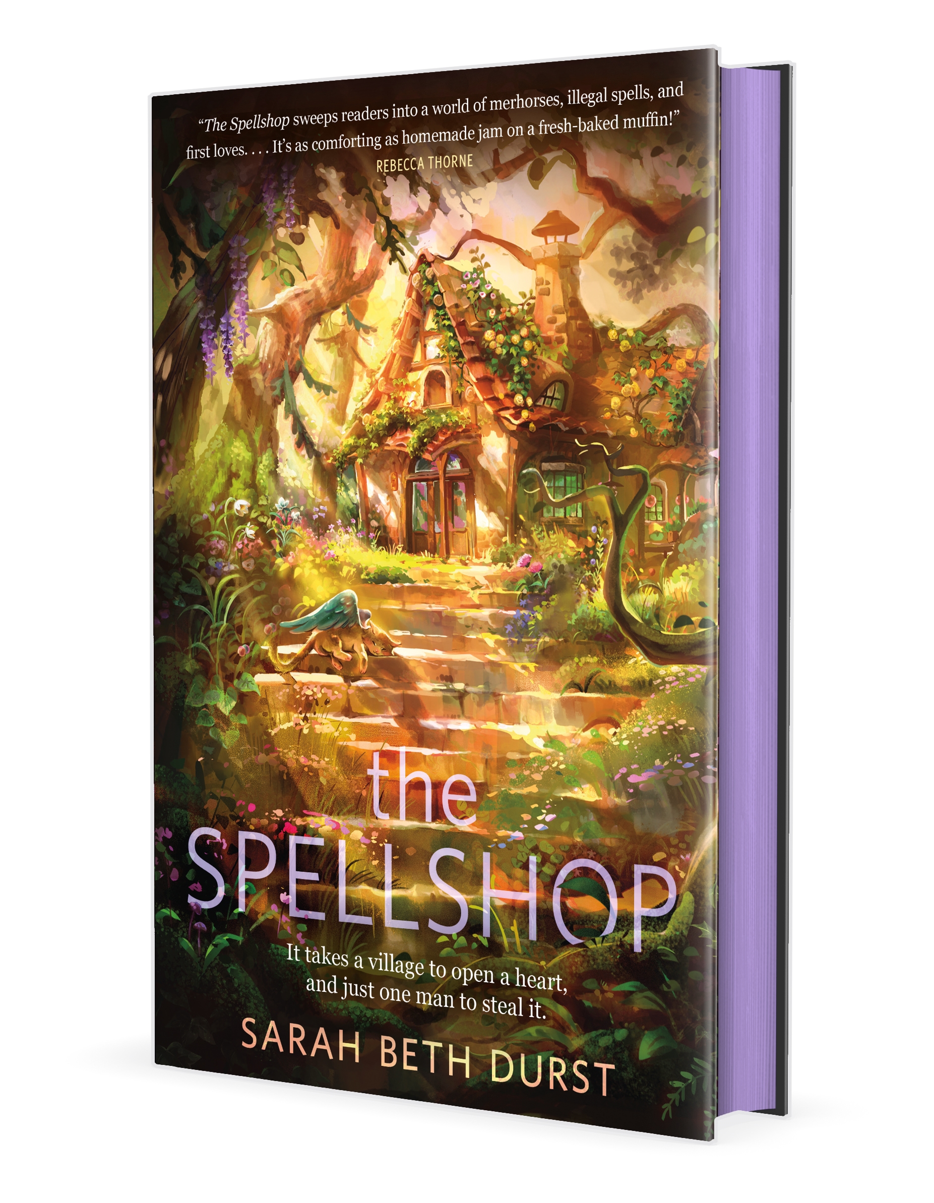The Spellshop by Sarah Beth Durst | Goodreads