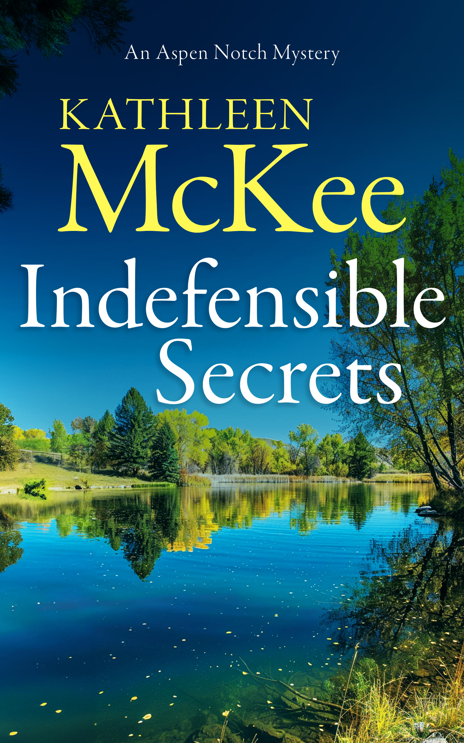 Indefensible Secrets by Kathleen McKee | Goodreads