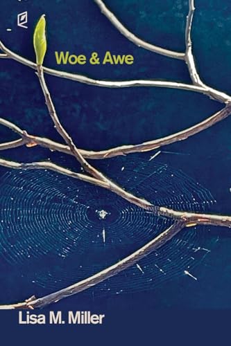 Woe & Awe by Lisa M. Miller | Goodreads